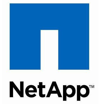 X3245A-R6 111-01287 111-00846 NETAPP FAS2220 2240 控制器 | 露天市集 | 全台最大的網路購物市集
