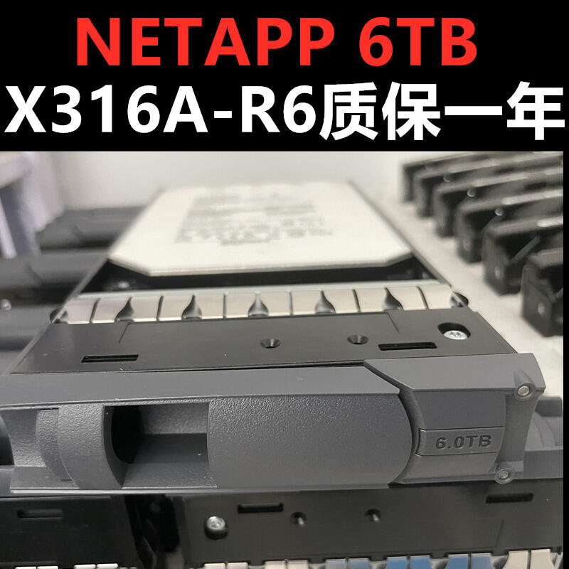 原裝 NETAPP X477A-R6 X316A-R6 35P2873 4TB 6TB SAS 3.5寸 硬盤 | 露天市集 | 全台最大的 ...