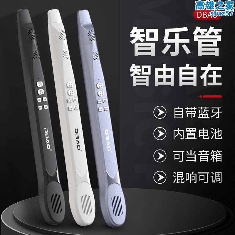 【精選】dbao智樂管電樂管版可當音箱會哼歌就會吹電子吹管卡祖笛樂器 | 露天市集 | 全台最大的網路購物市集