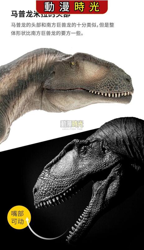 PNSO馬普龍米拉恐龍大王成長陪伴模型68兒童恐龍模型 | 露天市集 | 全台最大的網路購物市集
