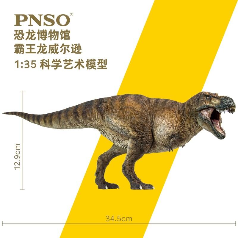 【客之坊】PNSO霸王龍威爾遜恐龍博物館1比35科學藝術模型 | 露天市集 | 全台最大的網路購物市集