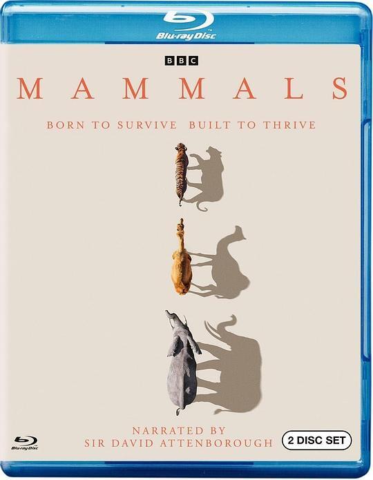 藍光電影：哺乳動物星球 / Mammals（2024） 共2碟 | 露天市集 | 全台最大的網路購物市集