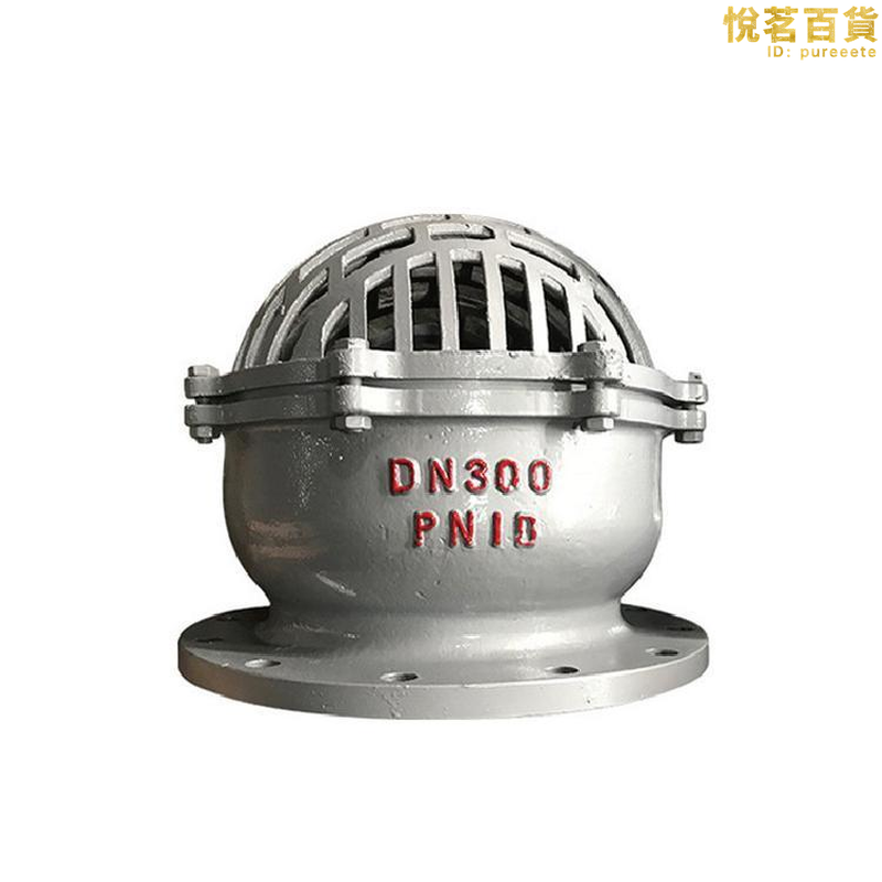 水泵地下底閥 H42X-10C 鑄鋼底閥 潛水法蘭底閥 DN250 H42X | 露天市集 | 全台最大的網路購物市集