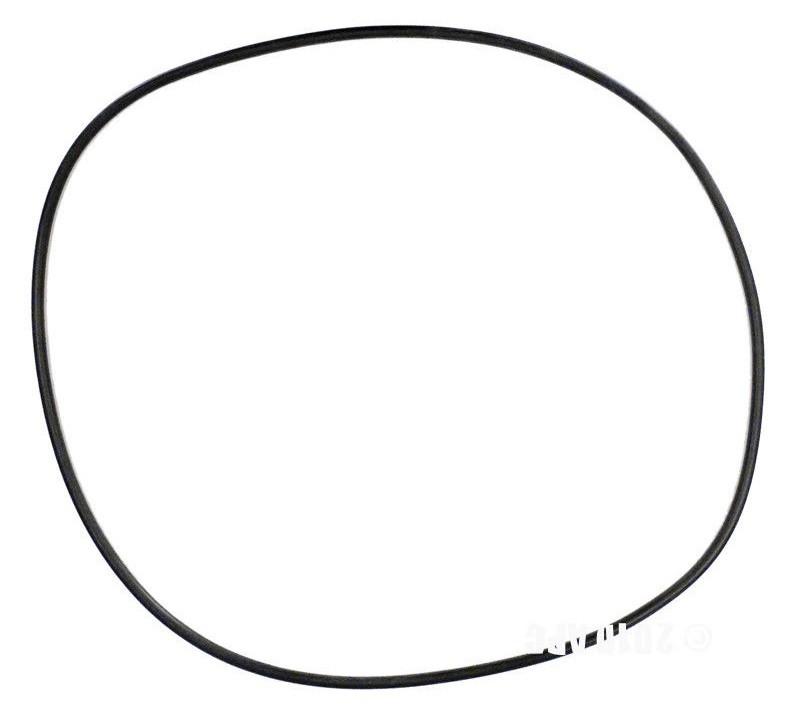 正品hayward x-dc過濾器坦克車身o型圈ccx1000g | PChomeUSA 海外代購