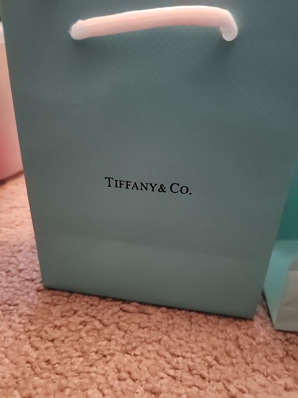 tiffany & co. 5吋x 6吋 x 3吋小號 藍紙禮品購物袋-全新. | PChomeUSA 海外代購