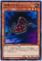 [逛逛賣場] 遊戲王 DP22-JP030 SD46-JP020 赤蟻阿斯卡托爾 (普卡) | 露天市集 | 全台最大的網路購物市集