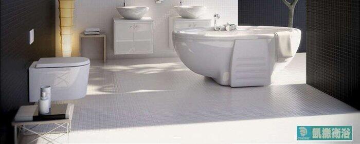 【大尾鱸鰻便宜GO】Caesar 凱撒衛浴 GB105 不鏽鋼浴室靠墊 坐式馬桶靠背墊 靠墊 坐式馬桶背墊 | 露天市集 | 全台最大的網路購物市集