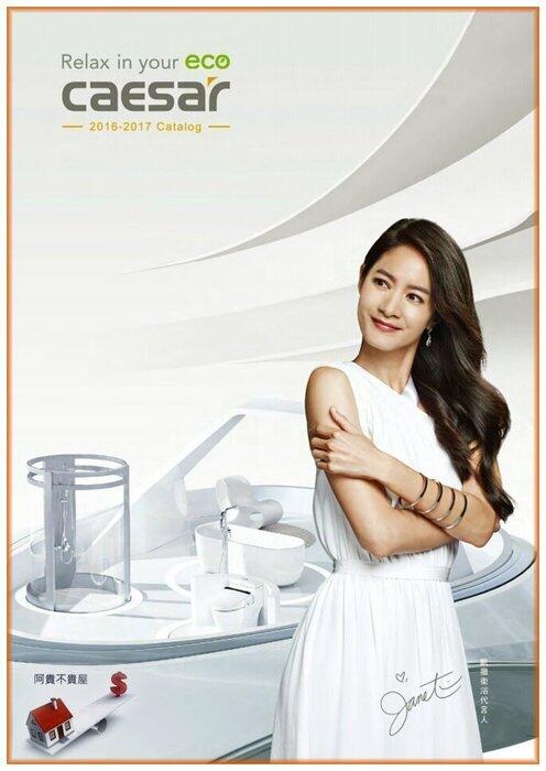 【大尾鱸鰻便宜GO】Caesar 凱撒衛浴 GB105 不鏽鋼浴室靠墊 坐式馬桶靠背墊 靠墊 坐式馬桶背墊 | 露天市集 | 全台最大的網路購物市集