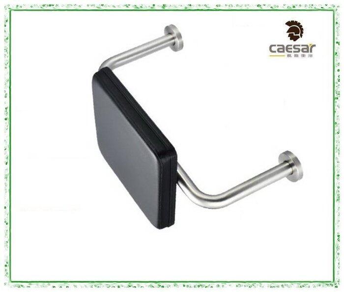 【大尾鱸鰻便宜GO】Caesar 凱撒衛浴 GB105 不鏽鋼浴室靠墊 坐式馬桶靠背墊 靠墊 坐式馬桶背墊 | 露天市集 | 全台最大的網路購物市集