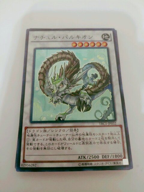 傷6~ZOO~遊戲王 TRC1-JP032 自然神龍 (亮面) 打牌品 | 露天市集 | 全台最大的網路購物市集