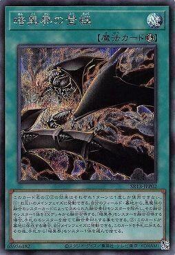 ~ZOO~遊戲王 韓紙 SR13-JPP02 暗黑界的登極 (半鑽) | 露天市集 | 全台最大的網路購物市集