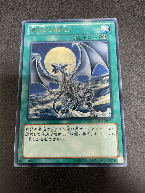 F3~ZOO~遊戲王 SD25-JP021 銀龍的轟咆 銀字 90分 | 露天市集 | 全台最大的網路購物市集