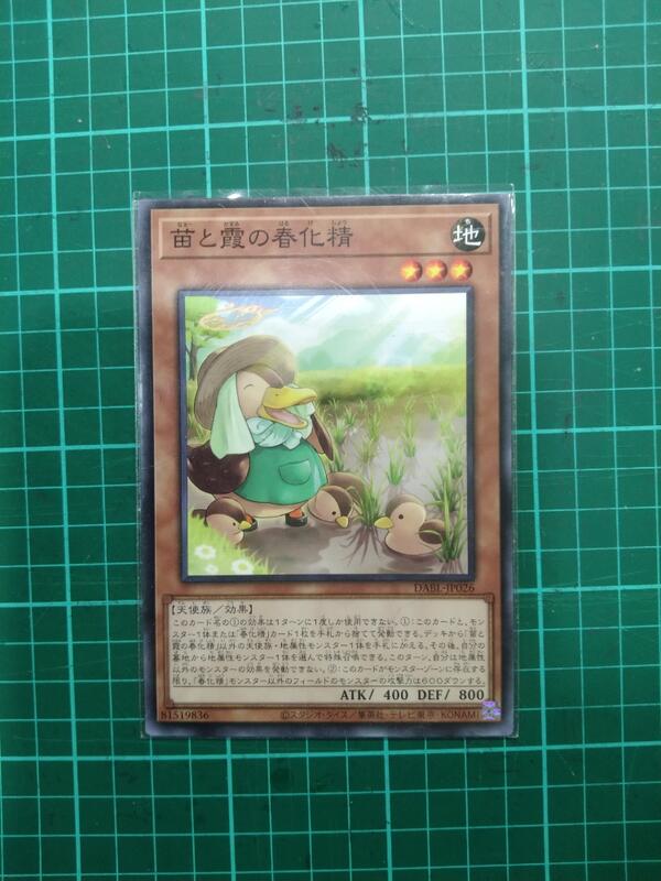 [所長的店] *全網最低* *大量* 韓紙 苗與霞的春化精 (普卡) DABL-JP026 | 露天市集 | 全台最大的網路購物市集