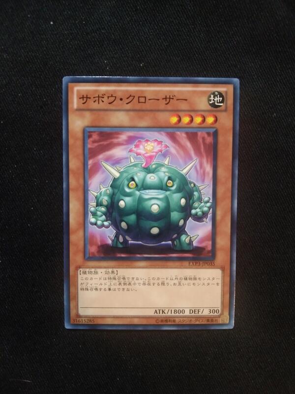 [所長的店]*全網最低* *價格高漲中* 仙人掌保鑣 仙人掌封鎖者 (普卡) 日紙 EXP3-JP035 | 露天市集 | 全台最大的網路購物市集