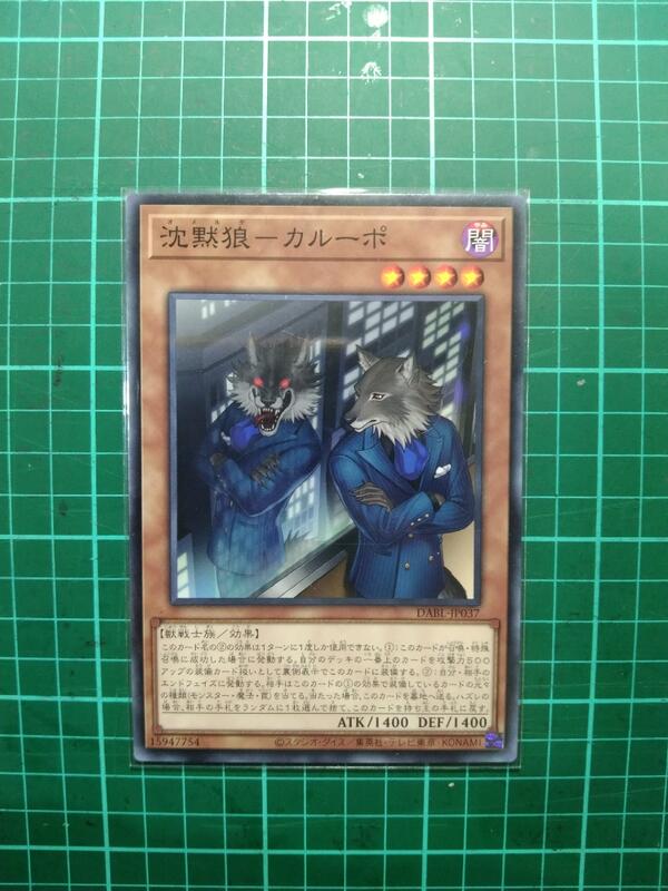 [所長的店] *全網最低* 韓紙 沉默狼-卡爾波 (隱普) DABL-JP037 | 露天市集 | 全台最大的網路購物市集