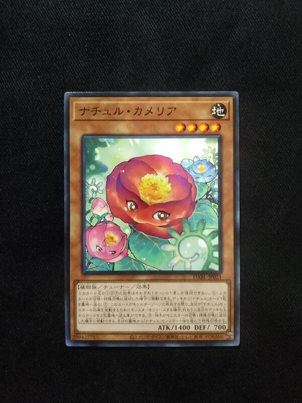 [ 所長的店 ] 韓紙 自然山茶花 (普卡) DABL-JP021 | 露天市集 | 全台最大的網路購物市集