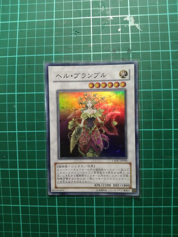 [所長的店]地獄刺藤 (亮面) 日紙 CSOC-JP042 | 露天市集 | 全台最大的網路購物市集