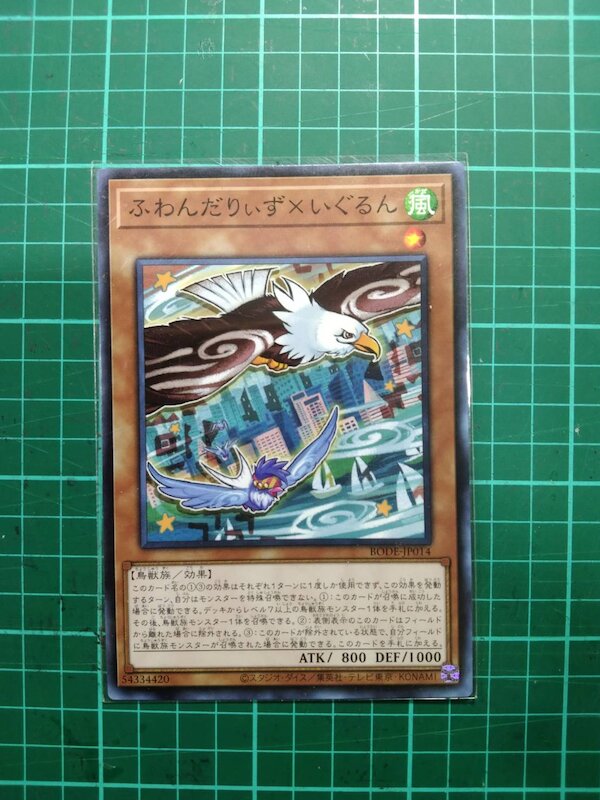 [所長的店] *全網最低* 蓬鬆奇風鳥X老鷹 (普卡) BODE-JP014 | 露天市集 | 全台最大的網路購物市集