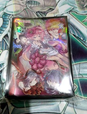 免運費 遊戲王 芙蕾西亞的蟲惑魔芙蕾夏蟲惑魔 芙蕾西雅的蟲惑魔 卡套 同RC02-JP032 LVP2-JP061 | 露天市集 | 全台最大的網路購物市集