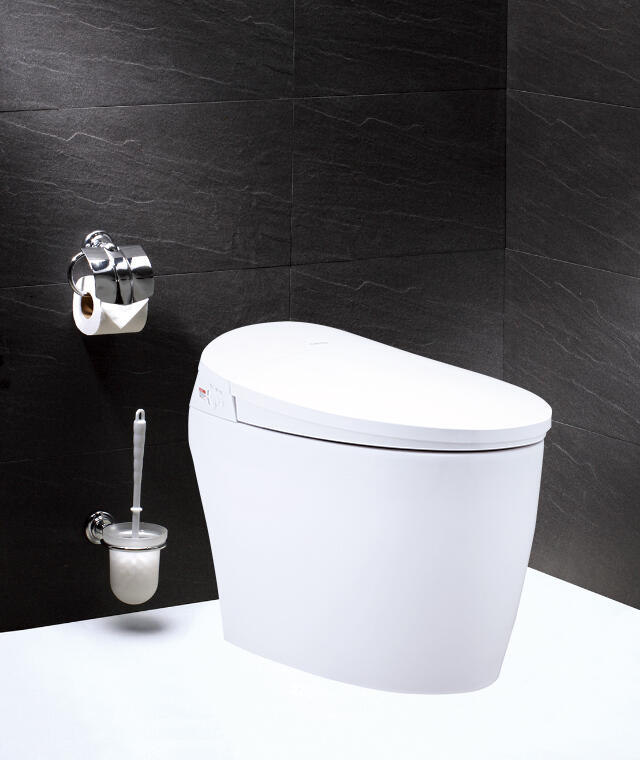 〖Caesar 凱撒衛浴〗凱撒御洗數位馬桶 CA1383-30CM E.FANCY 瞬熱式 無線遙控 暖風調節【鋐欣】 | 露天市集 | 全台最大的網路購物市集