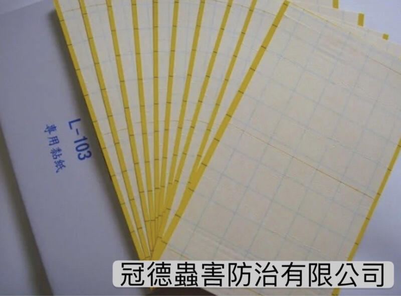 [冠德蟲害防治]免運活動PROCATCH上黏 L-103小元寶專用原廠黏蟲紙補充/黏蠅紙 補蚊燈 捕蟲燈 捕蚊燈補充紙 | 露天市集 | 全台最大的網路購物市集