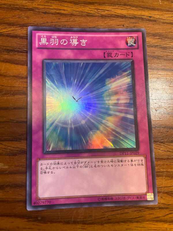 【安迪遊戲王】DP11-JP029 黑羽的引導(亮面) | 露天市集 | 全台最大的網路購物市集