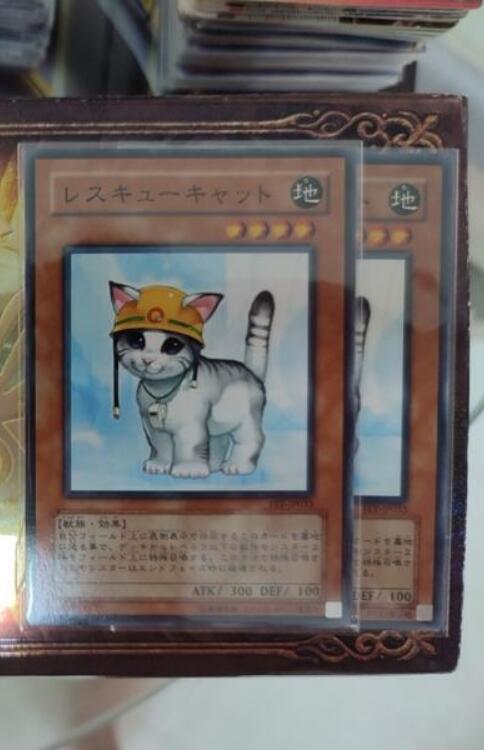 救援貓 FET-JP033 | 露天市集 | 全台最大的網路購物市集