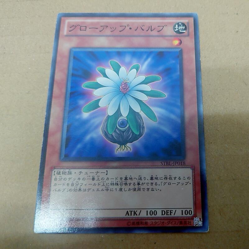 [ONE PIECE] 遊戲王 STBL-JP018 成長的球莖 (普卡) 卡況:損卡 | 露天市集 | 全台最大的網路購物市集