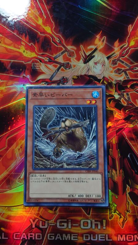 日紙 CIBR-JP040 迅捷河貍（隱普） | 露天市集 | 全台最大的網路購物市集