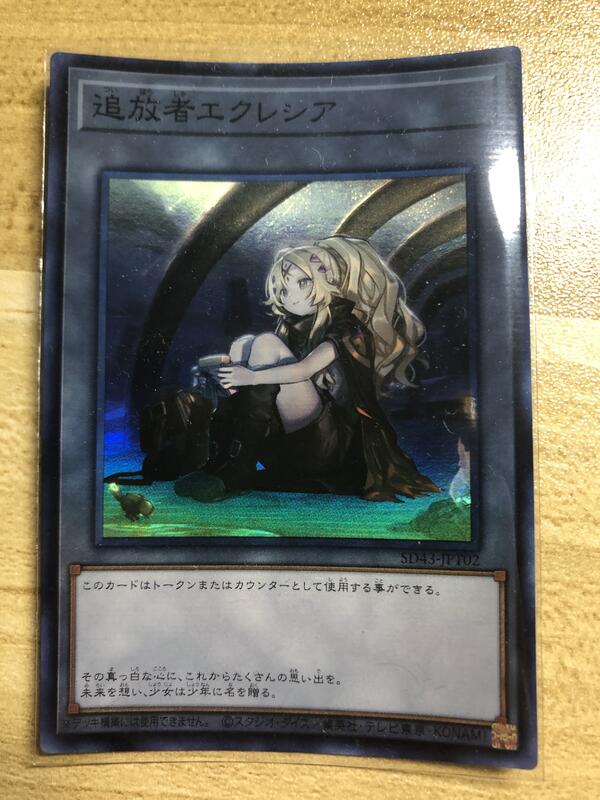 滷味 SD43-JPT02 追放著艾克莉西亞 亮面 TOKEN | 露天市集 | 全台最大的網路購物市集