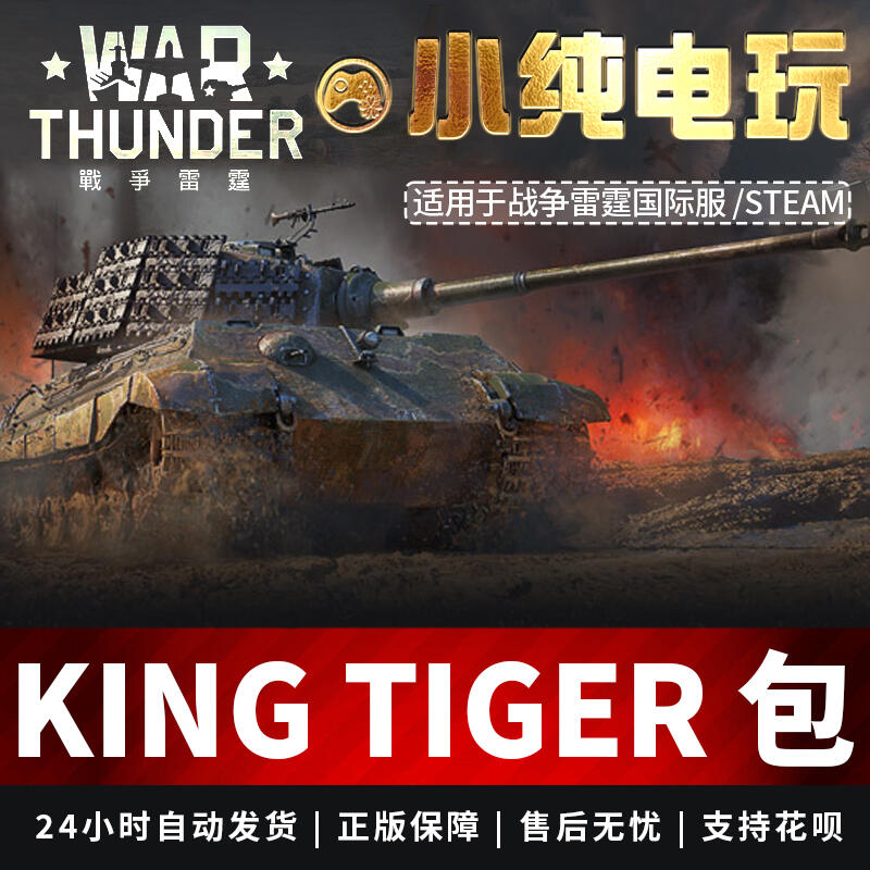 【小濕妹】正版Steam 戰爭雷霆War Thunder King Tiger 包 | 露天市集 | 全台最大的網路購物市集