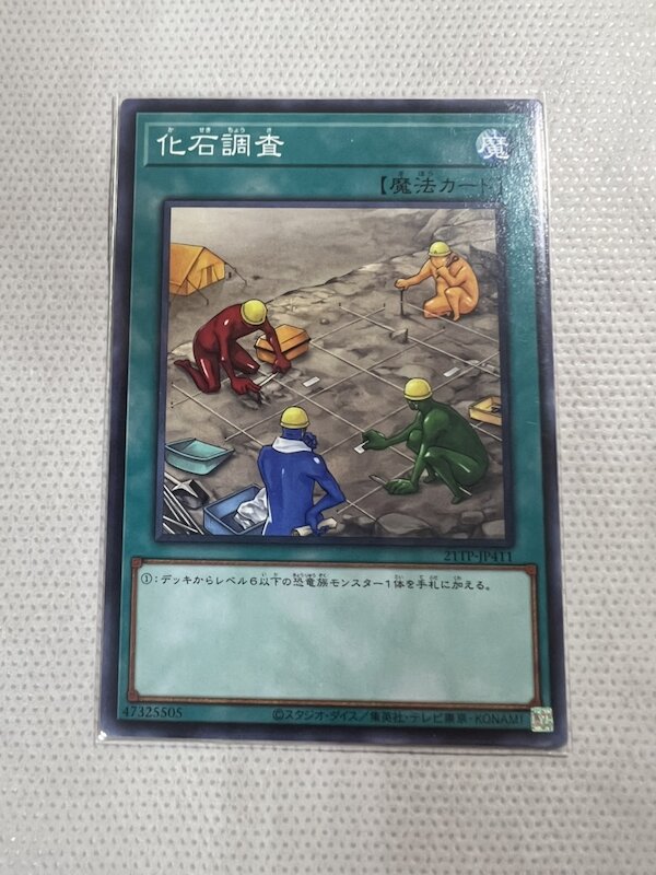 艾瑪卡鋪 21TP-JP411 化石調查 (普卡) | 露天市集 | 全台最大的網路購物市集