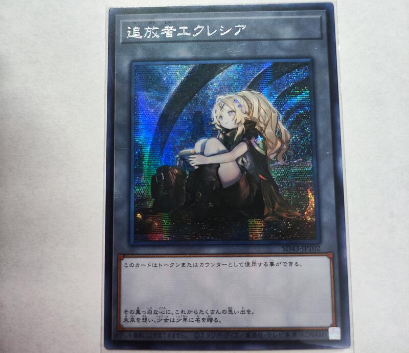 [哭]遊戲王 SD43-JPT02 追放者艾克莉西亞Token 半鑽 | 露天市集 | 全台最大的網路購物市集