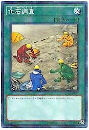 （布布卡舖） 21TP-JP411 ANPR-JP062DE04-JP034 18SP-JP409化石調查 | 露天市集 | 全台最大的網路購物市集