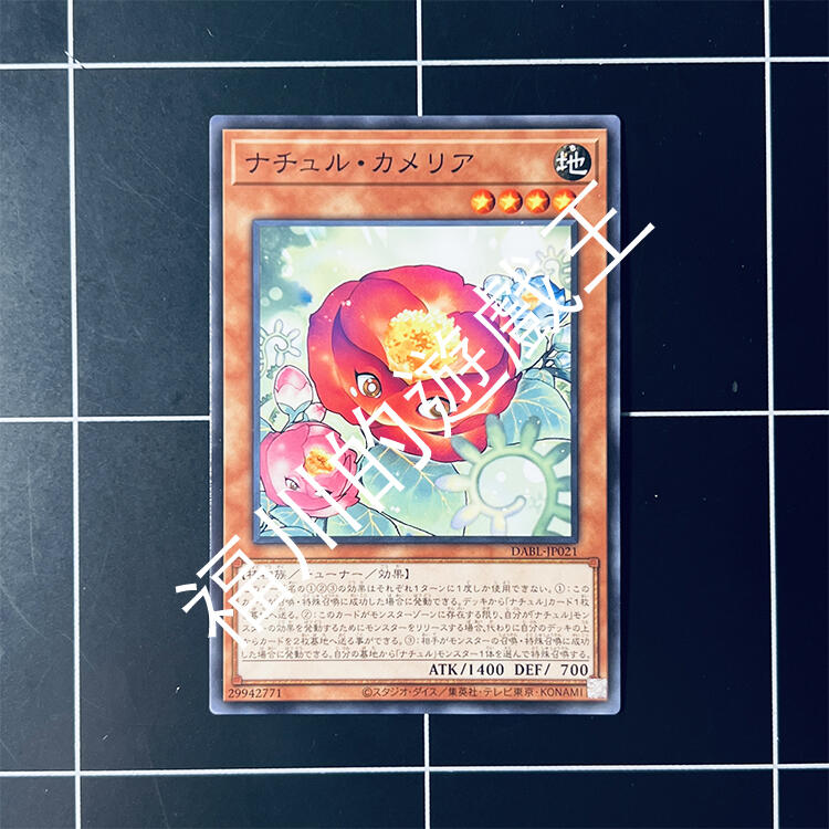 福川的遊戲王 DABL-JP021 自然山茶花 普卡（韓） | 露天市集 | 全台最大的網路購物市集