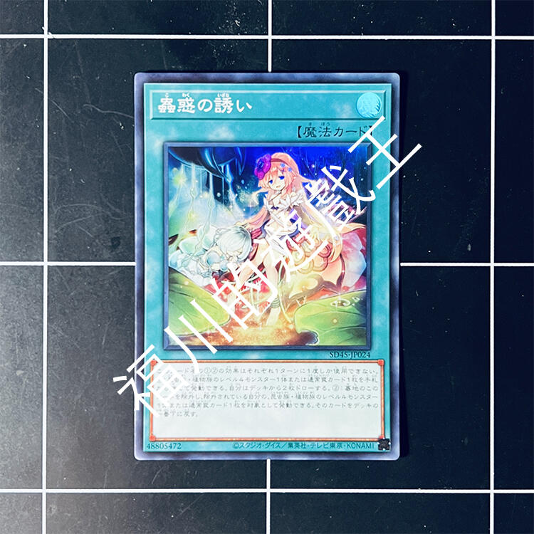 福川的遊戲王 SD45-JP024 蟲惑的誘惑 亮面（韓） | 露天市集 | 全台最大的網路購物市集