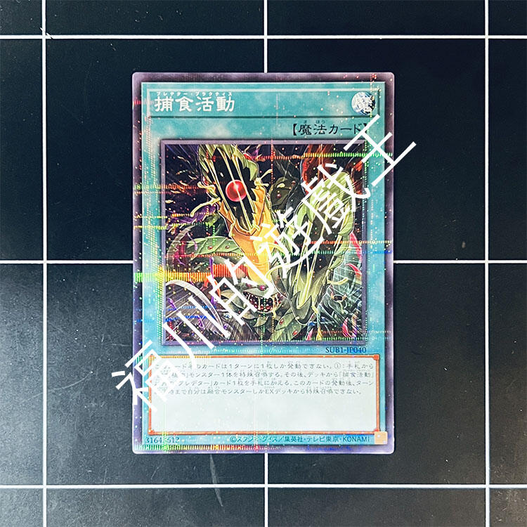 福川的遊戲王 SUB1-JP040 捕食活動 普鑽（日）（DP22-JP047） | 露天市集 | 全台最大的網路購物市集