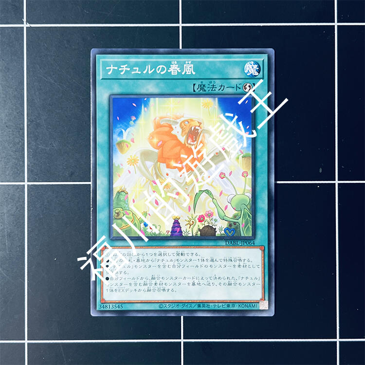 福川的遊戲王 DABL-JP064 自然的春風 普卡（韓） | 露天市集 | 全台最大的網路購物市集