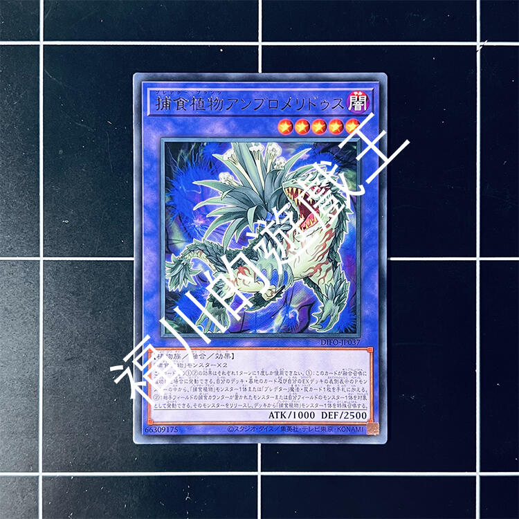 福川的遊戲王 DIFO-JP037 捕食植物 鳳梨走鯨 銀字（韓） | 露天市集 | 全台最大的網路購物市集