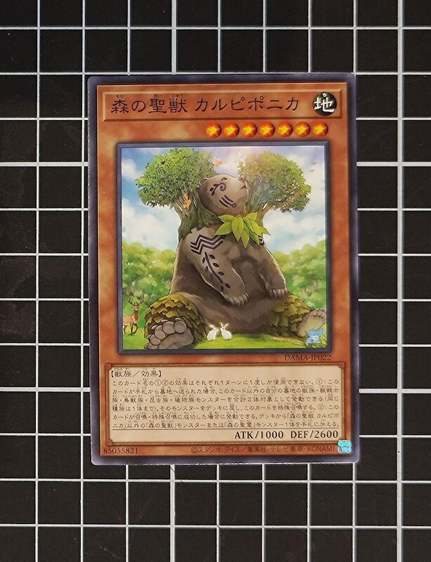 遊戲王 DAMA-JP022 森之聖獸 千金榆熊 | 露天市集 | 全台最大的網路購物市集