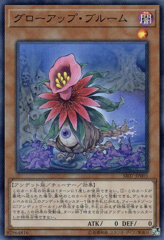 SR07-JP003 成長花朵 (亮面) | 露天市集 | 全台最大的網路購物市集