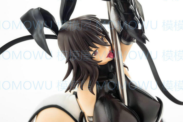 @八月特惠MOMOWU對魔忍雪風 水城不知火 WF2017 改造GK手辦成品 露天拍賣 | 露天市集 | 全台最大的網路購物市集