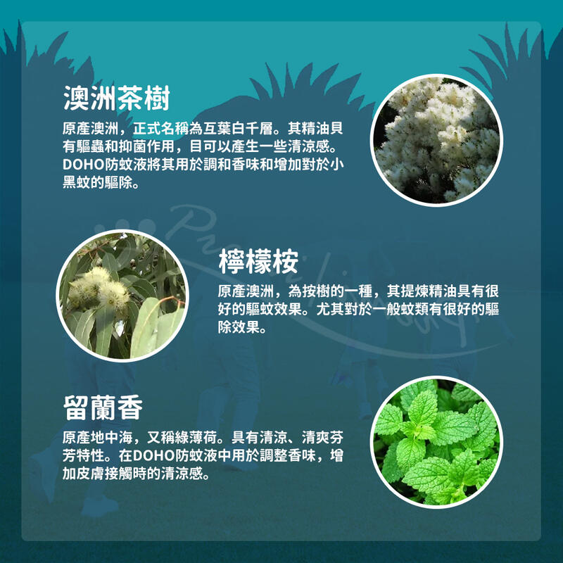 台灣製 DOHO 森林草本防蚊液 80ml【E046】防小黑蚊 長效防蚊液 防蚊噴霧 兒童防蚊 天然防蚊液 驅蚊 蚊子 | 露天市集 | 全台最大的網路購物市集